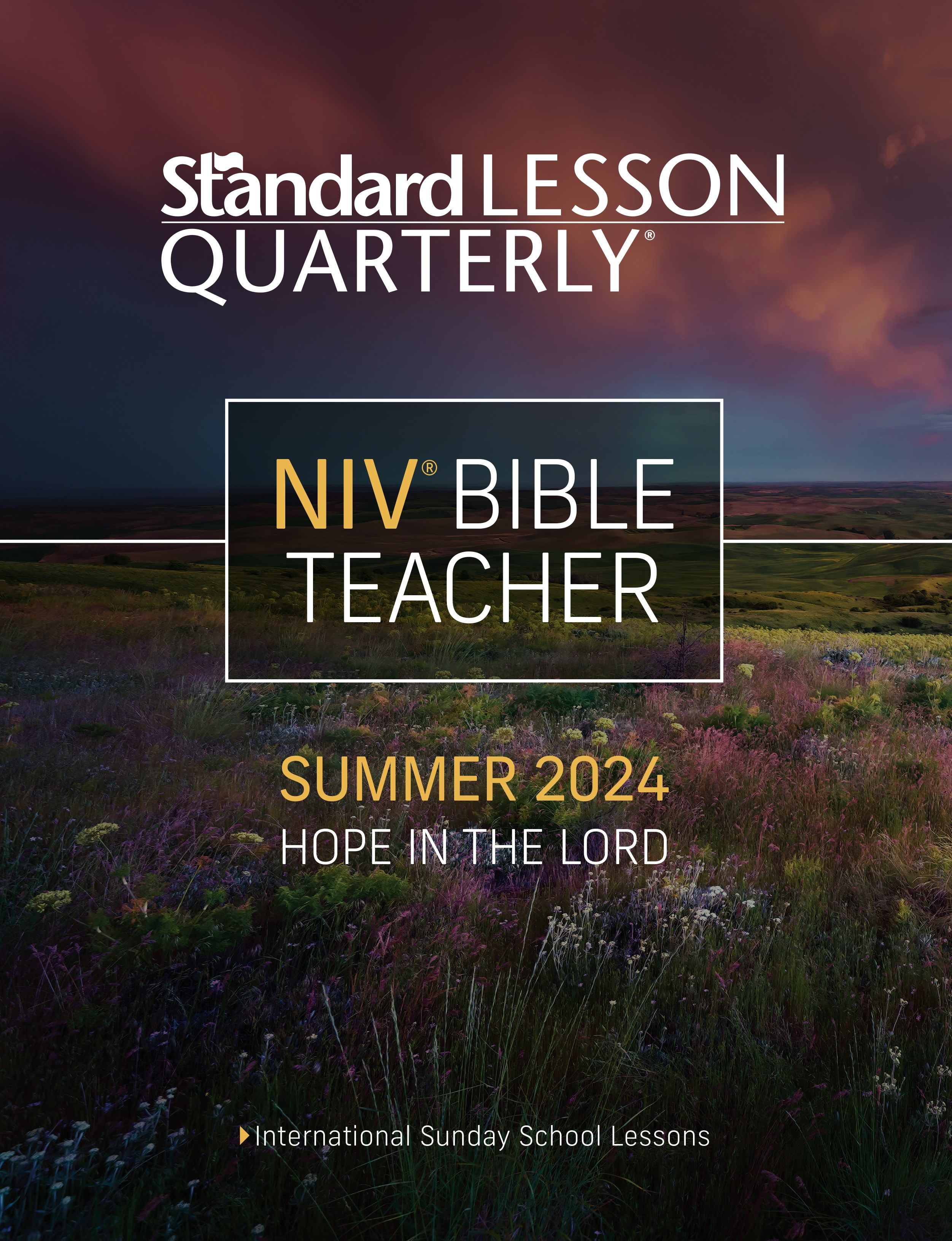Standard Lesson Quarterly® NIV® Bible Teacher | Lighthouse Christian Books