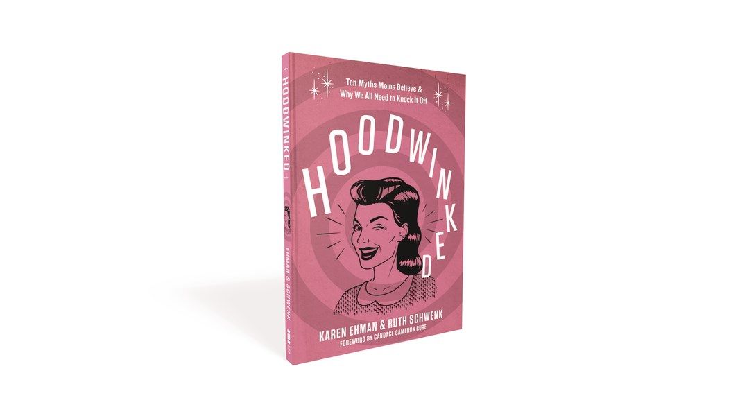 Hoodwinked: Ten Myths Moms Believe and Why We All Need to Knock It Off ...