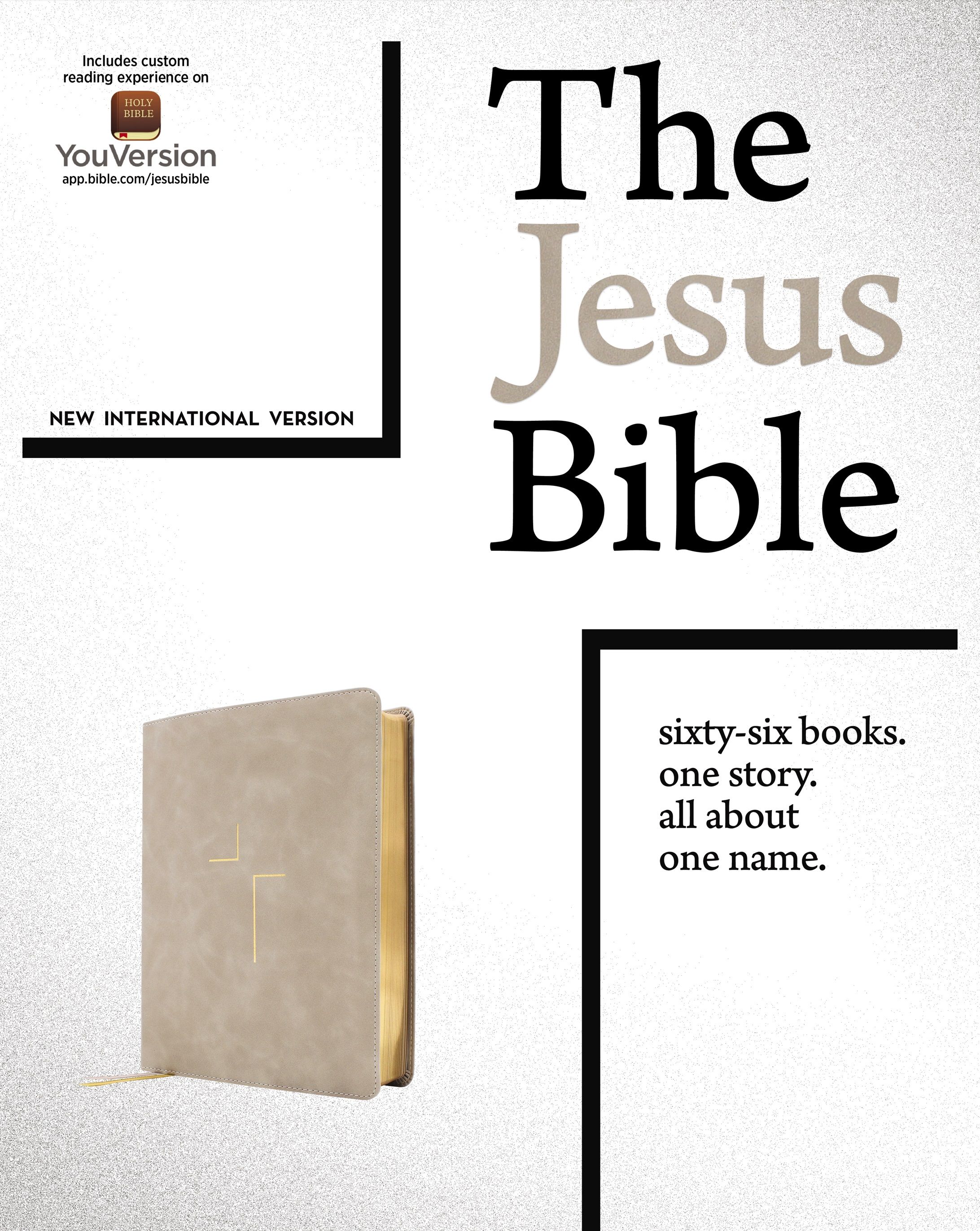 The Jesus Bible, NIV Edition, Leathersoft, Stone, Comfort Print ...