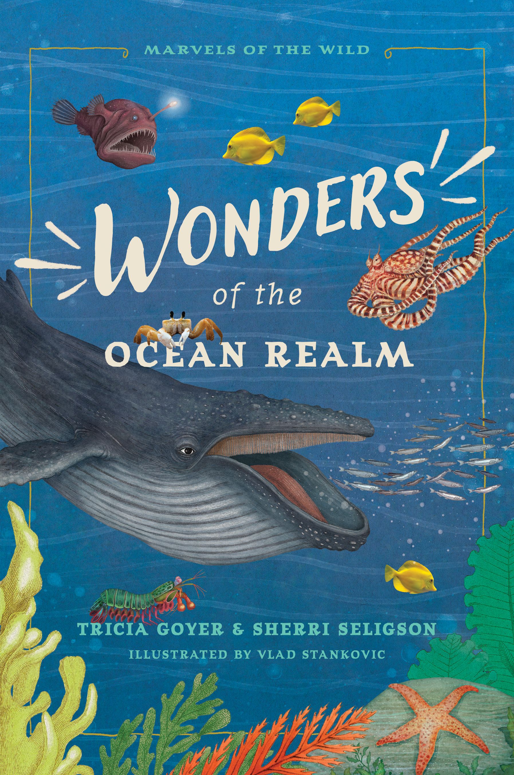 Wonders of the Ocean Realm | Parable.com