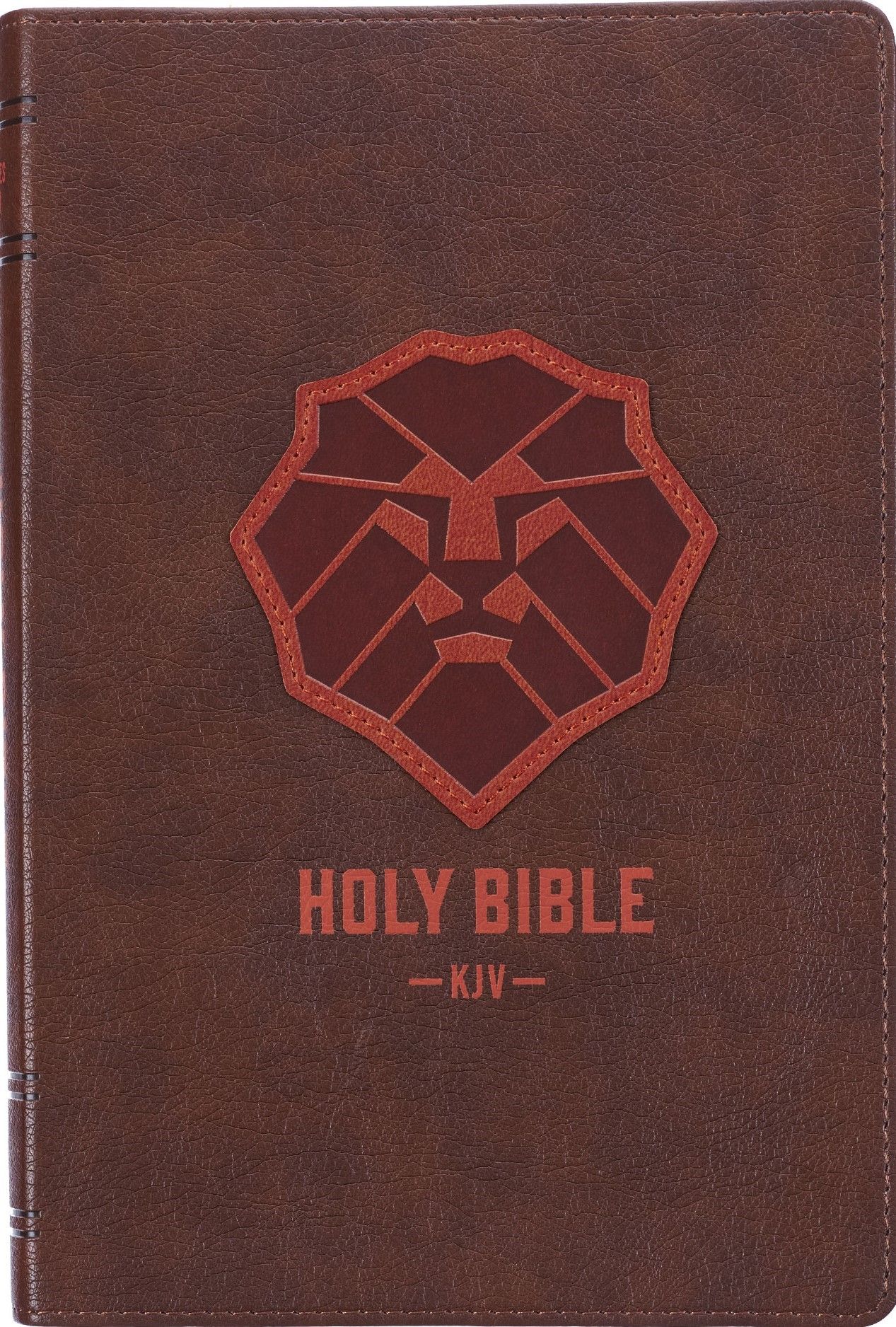 KJV Kids Bible, 40 Pages Full Color Study Helps, Presentation Page ...