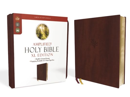 Amplified Holy Bible, XL Edition, Leathersoft, Burgundy | Cedar Springs ...